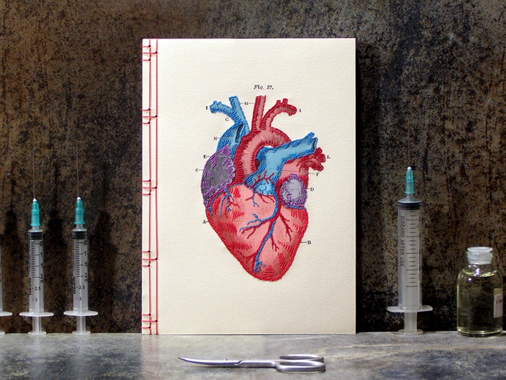 Heart Anatomy Journal by Fabulous Cat Papers | FabulousCatPapers