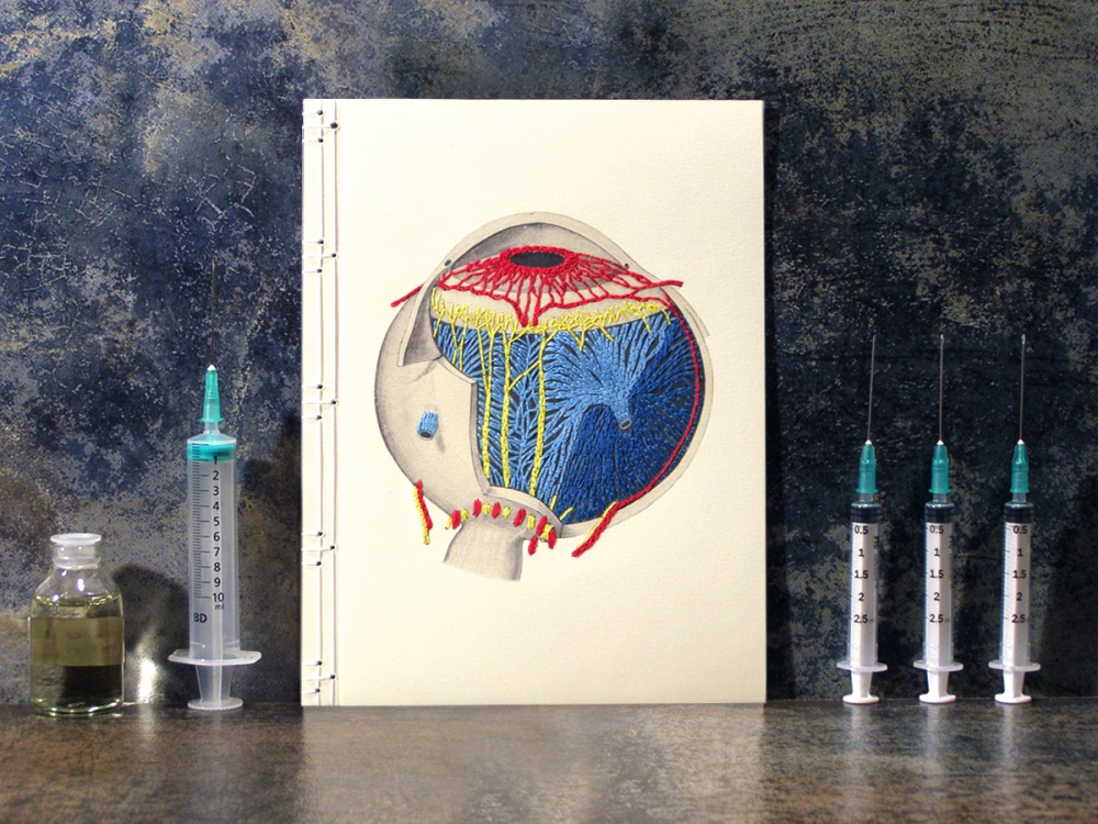 Anatomical Eye Journal by Fabulous Cat Papers | FabulousCatPapers
