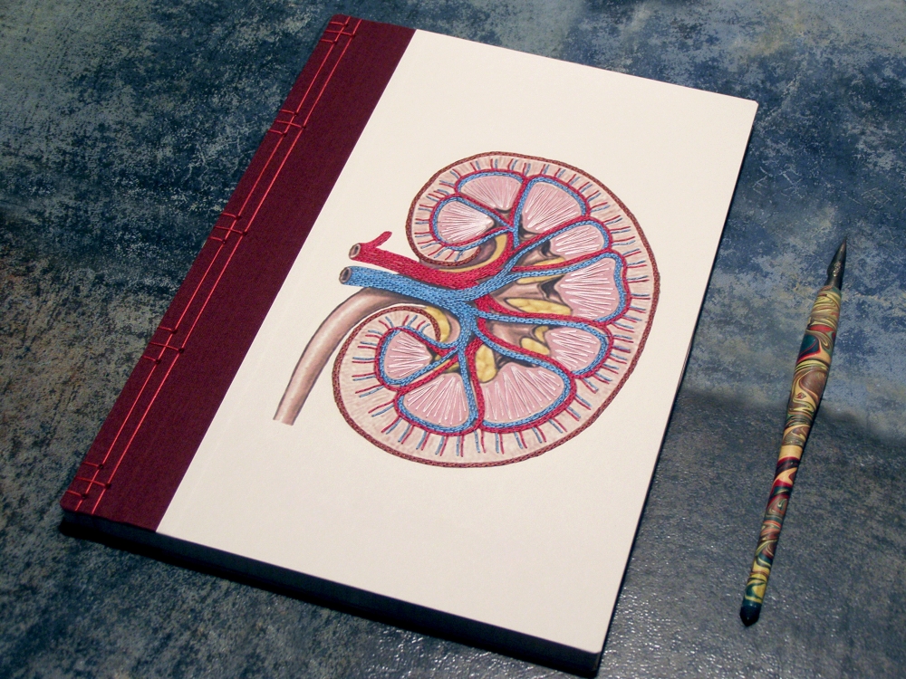 Kidney Anatomy Journal. Embroidered Journal by Fabulous Cat Papers ...